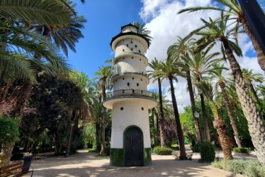 Ultimate guide to Elche: things to do and places to visit | Our Spanish ...
