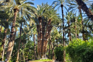 Ultimate guide to Elche: things to do and places to visit | Our Spanish ...