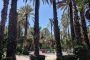 Ultimate guide to Elche: things to do and places to visit | Our Spanish ...
