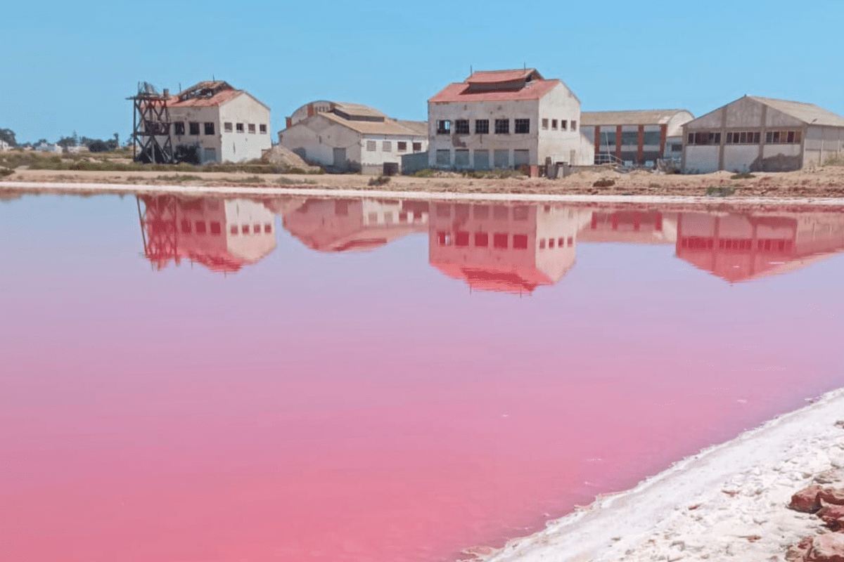 Torrvieja's pink salt lake - everything you need to know